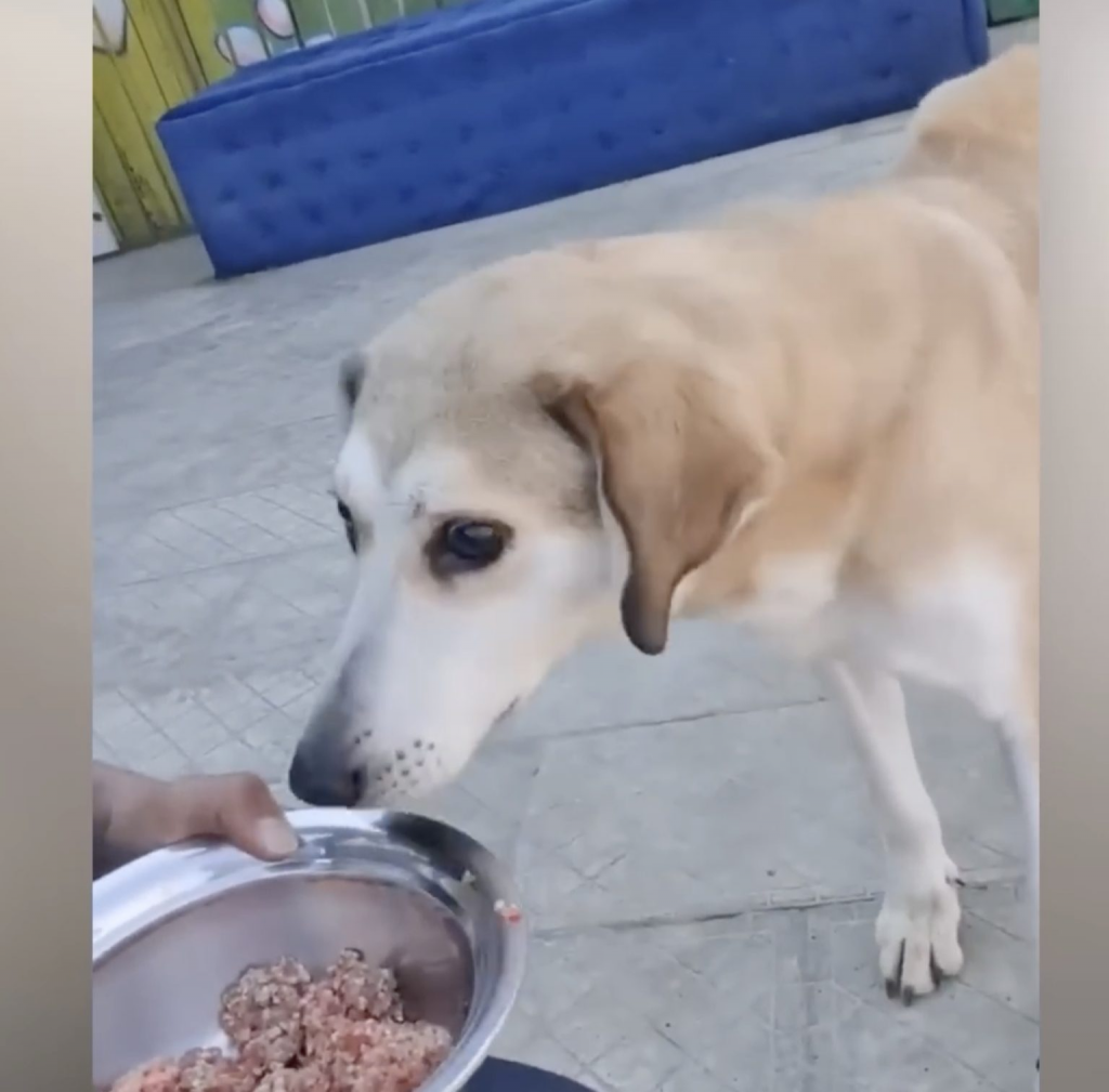 She Only Wanted Friendship — The Cruel Blow That Took Her Sight, But ...