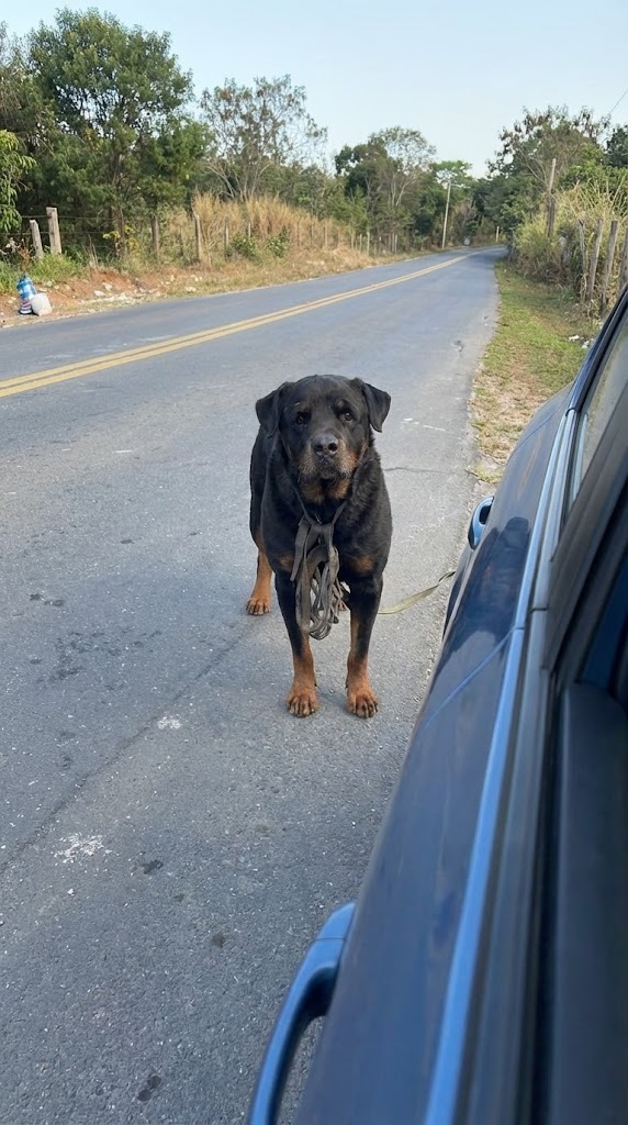 He Stepped Forward Quietly, His Bleeding Eyes Asking for One Thing — To ...