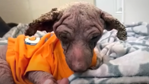 From Cold and Alone to Warmth and Love: The Incredible Transformation ...